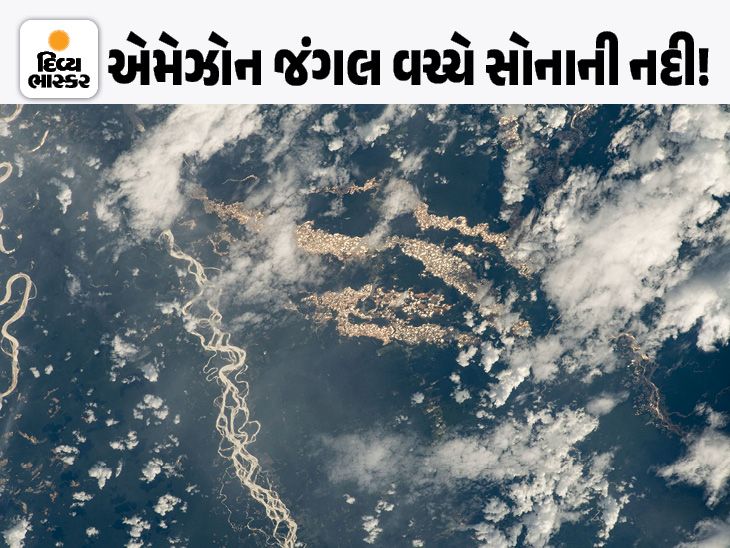 Gold seen in forest river seen from space, see PHOTOS released by NASA | આ જંગલમાં સોનું જ સોનું ...