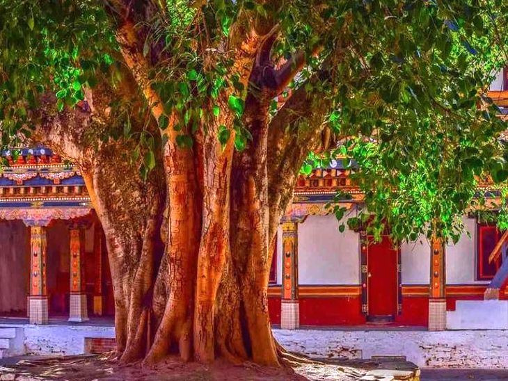 Vaishakh Poonam A festival of worship to Lord Vishnu, the tradition of ...