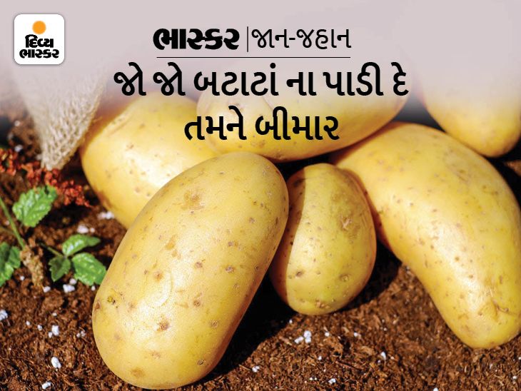 Eating french fries can cause cancer, boiled potatoes are very ...