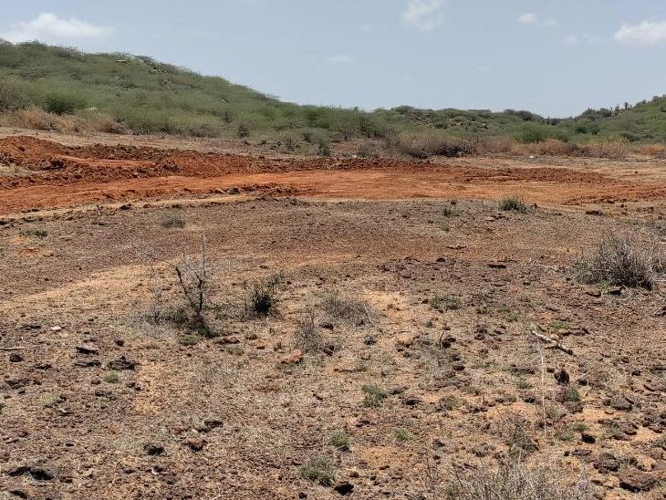 Forestry encroachment on the construction of an under-construction ...