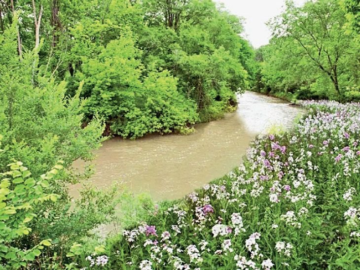 The Canadian government declared the Don River dead due to polluted ...