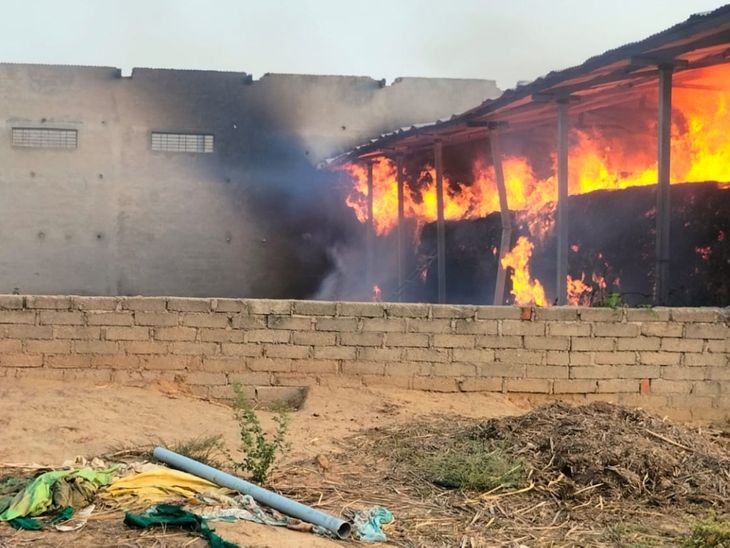 A sudden fire broke out in the cowshed of Vavna Dhima village, the ...