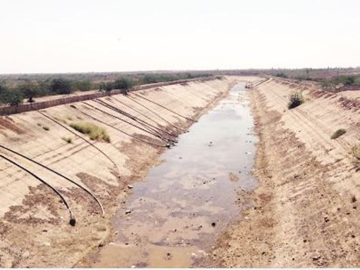 MLA Trikam Chhanga said - By putting gates on Narmada Dam, the waters ...