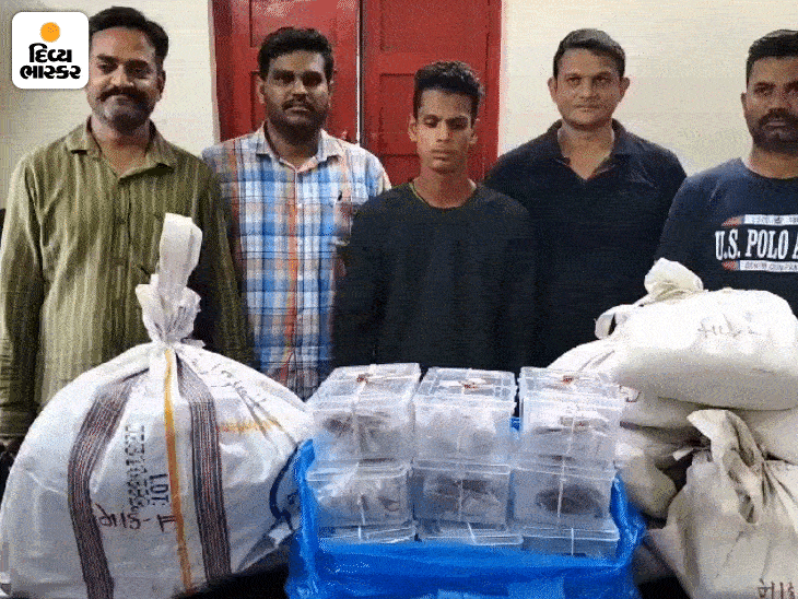 One of the four who arrived in Surat in a train carrying 33 kg of ganja ...