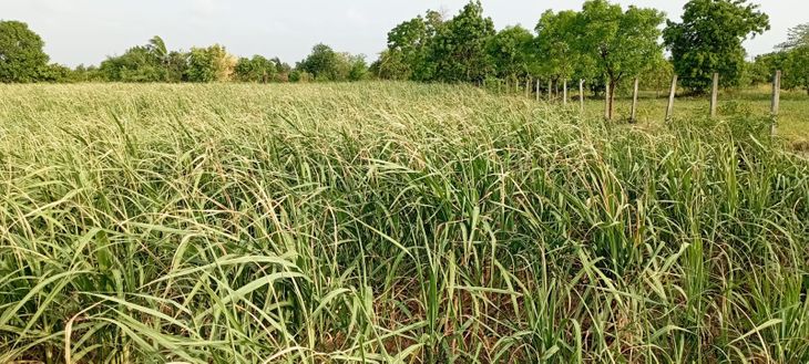 Heavy rainfall and insufficient rainfall in a single monsoon | એક જ ...