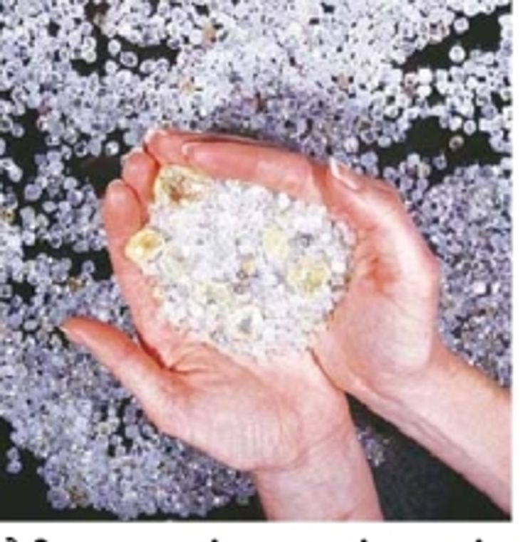 For the first time, a foreign diamond company came to Surat | પહેલીવાર ...