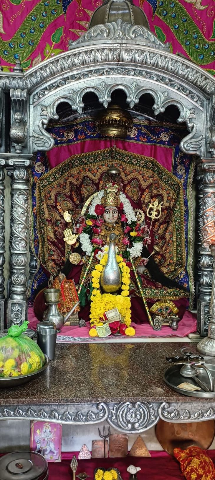 Navchandi was held on the occasion of 61 years of establishment of ...