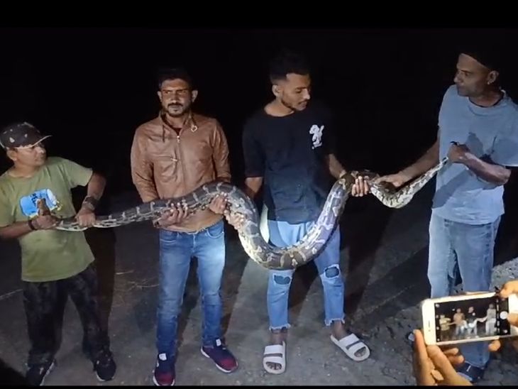 A 12 feet long giant python was rescued from a canal near Paguthan ...
