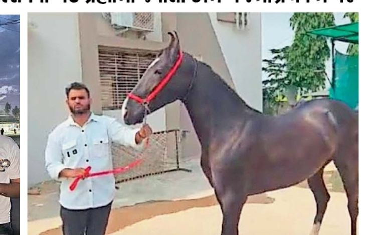 Khed Brahma's Jwala and Gajni stand first in Ranakpur Equestrian ...