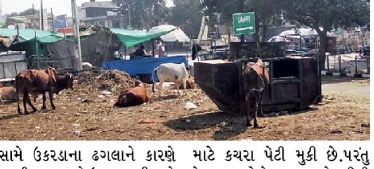 Mosquito infestation increased due to mosquito bites near Sardar Circle ...