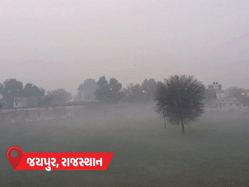 Weather Imd Forecast 6 Jan Update Up Mp Bihar Fog Rainfall Cold Wave Alert