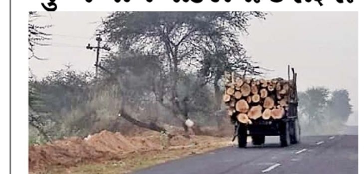 Open timber manipulation on Rosed Char Road of Talod | તંત્ર સામે ભારે ...