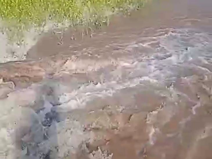 Gap in Narmada Canal in Vavna Raneshari village, loss of lakhs to ...