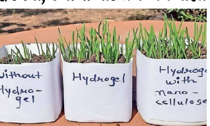 Nano cellulose base fertilizer hydrogel made from cow dung; Less water ...