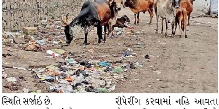Piles of filth due to lack of cleanliness in the pool; Garbage ...