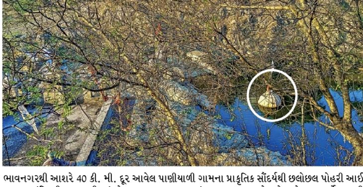 The natural beauty of Pohri Ai emerging amidst the leafless trees ...