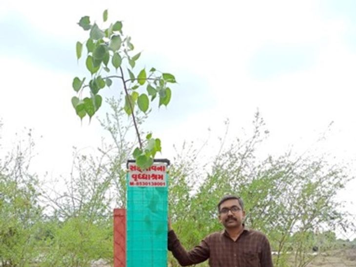 A businessman from Dadwa village of Umrala taluk in Bhavnagar donated ...