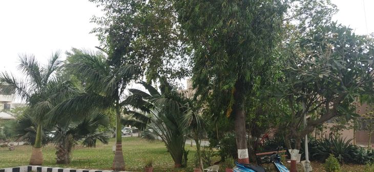 Wind blew with light gusts in Modasa city | હવામાન: મોડાસા શહેરમાં હળવા ...