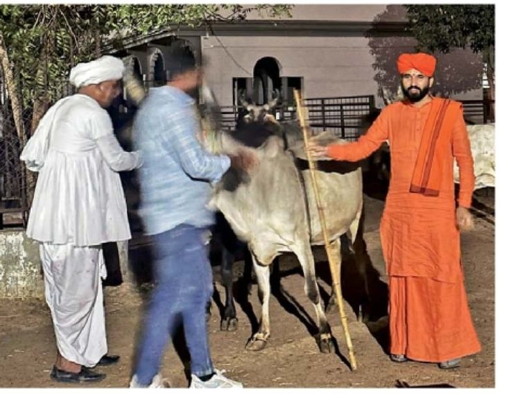 133 Kankerji cows donated by 133 branches of Naat Vihotar of Rabari ...