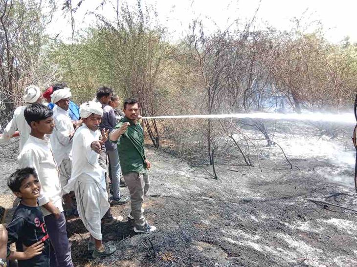Bhatwar village of Vavna caused chaos due to fire in jowar bridge, huge ...