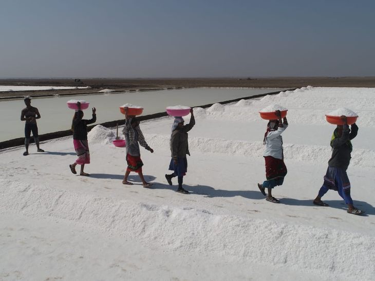 Season of salt extraction is in full swing amid scorching heat | આકરા ...