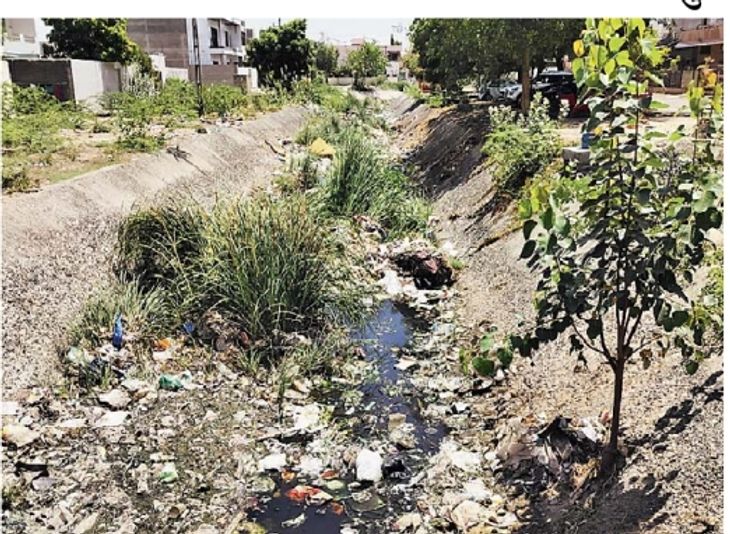 Overgrown trees and runoff water affect how storm drains are cleaned ...