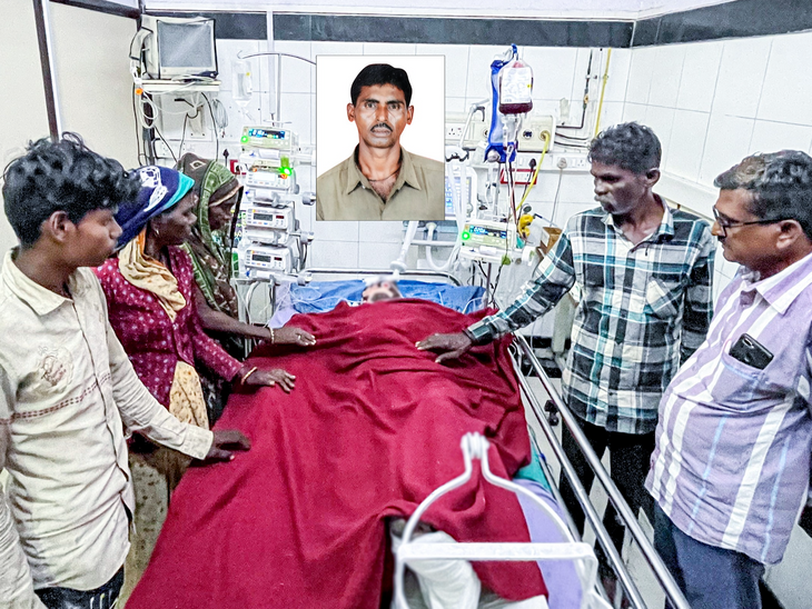 Liver and kidney of a brain dead middle-aged person was donated in ...