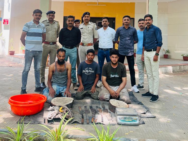 Bharuch police nabbed three accused with tools including beef-meat and ...