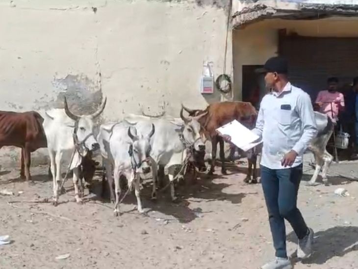 Combig conducted by District LCB, SOG, Town Police and VHP Bajrang Dal ...