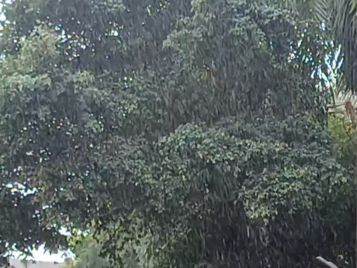 Since the last two days, the weather has cooled down in Surat city and ...