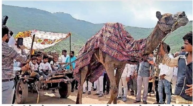 On the first day, children are taken to schools in bullock carts and ...