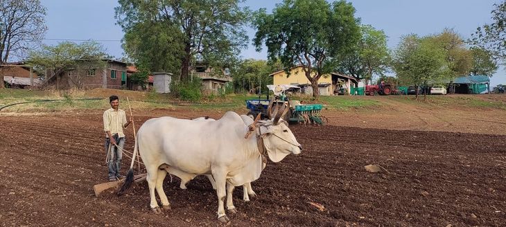Tapi District: More than 2 inches of rain in Valod and one and a half ...