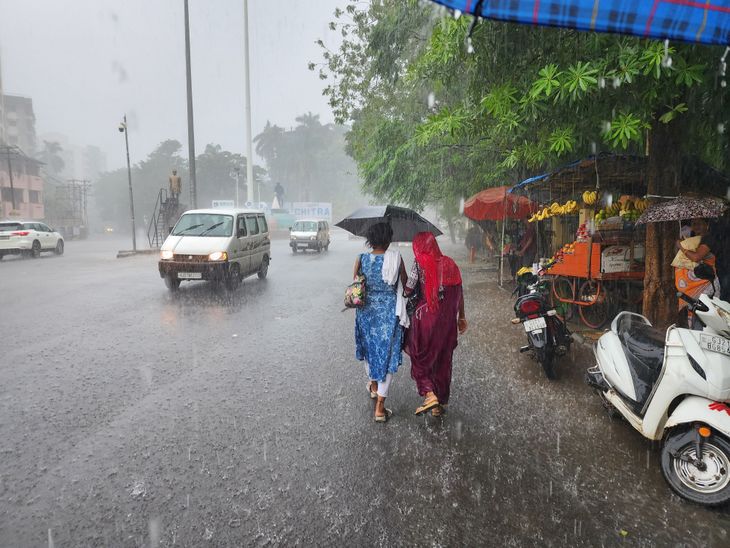 Heavy rain in Navsari district, widespread rain in the afternoon, two ...