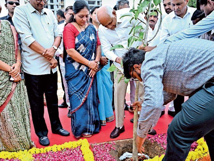 An urban forest will be created by planting 1500 trees in Koba ...