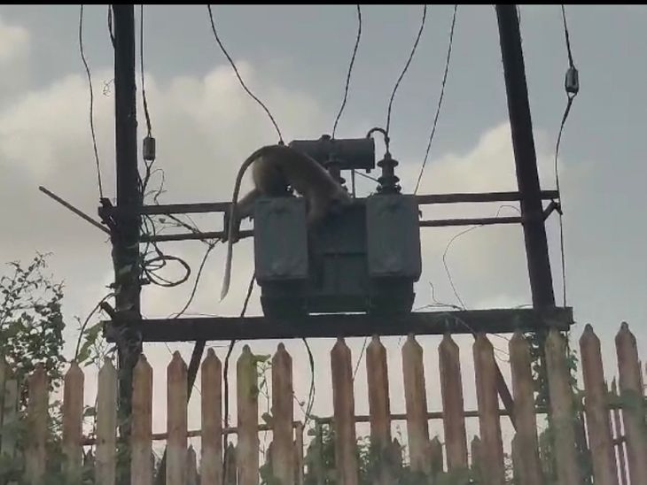 Kapiraj, who was riding on a transformer in Amod, was tripped when he ...