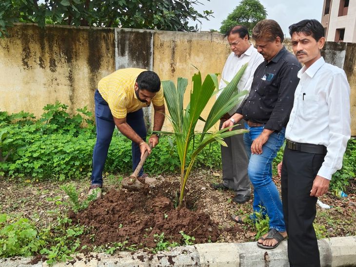 Tree plantation was done by the officials, employees in the provincial ...