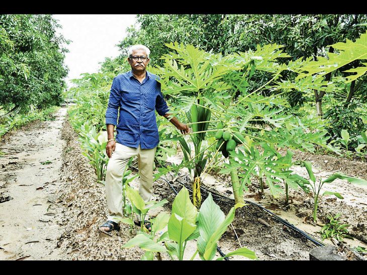 Due to the natural method in agriculture, the soil became porous and ...