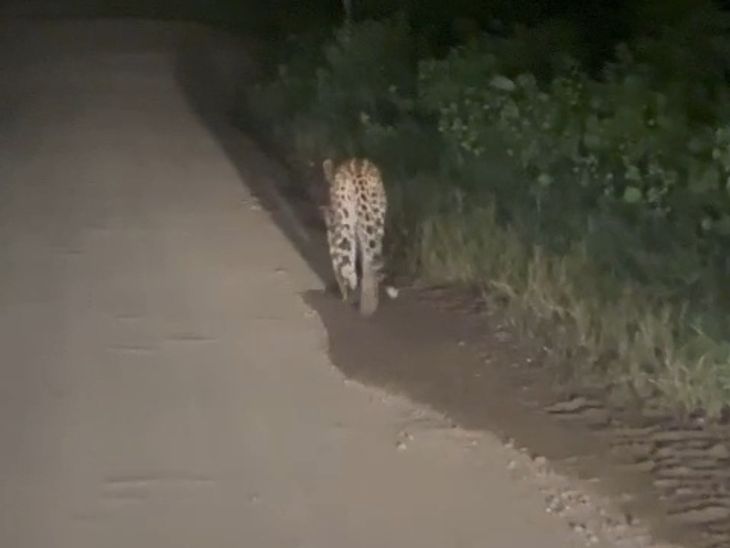 After the attack on two girls in Vansda, the large Walzer village was ...