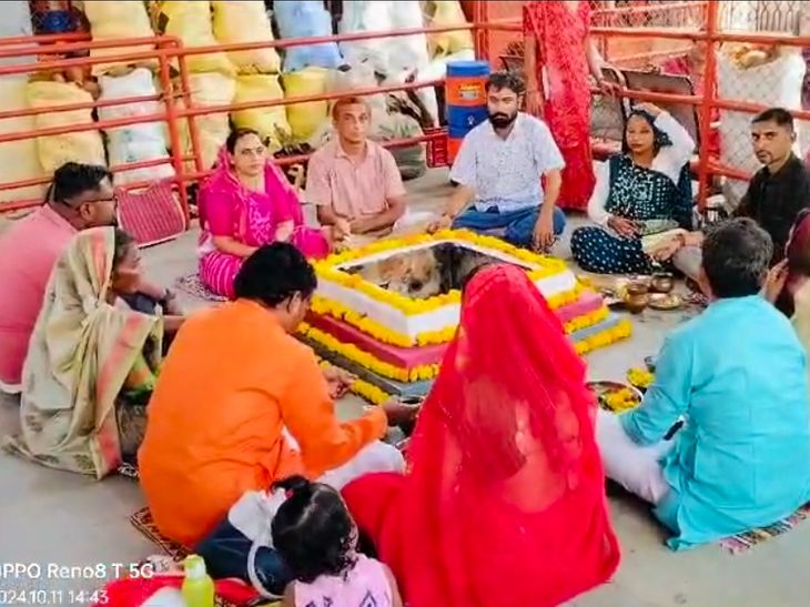 Devotees thronged the Vishwashanti Mahakali temple at Osara village in ...