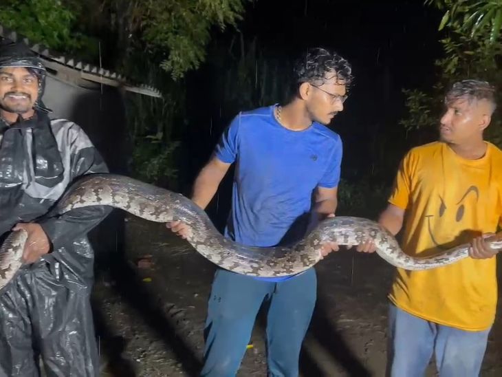 A 10-feet-long python was rescued by members of an animal saving group ...