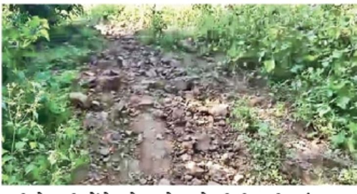 Presentation to pave 13 roads in Naswadi | રજૂઆત: નસવાડીમાં 13 રસ્તાને ...