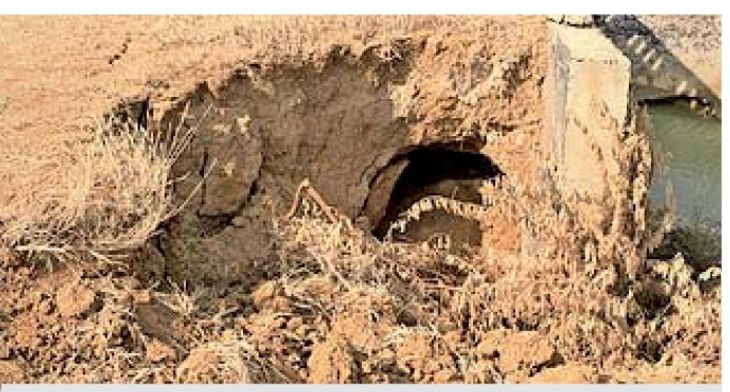 Gap in Fatehgarh to Gagodar sub-canal built at the cost of crores ...