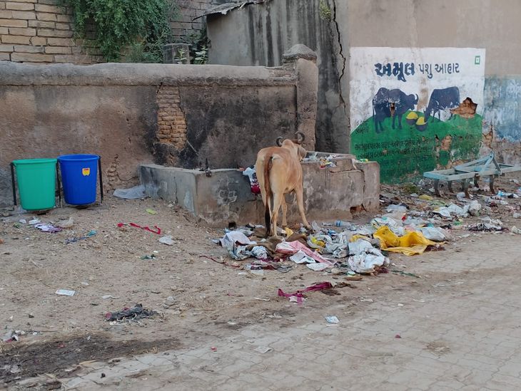 First bins were made to collect garbage, now plastic tubs are used ...