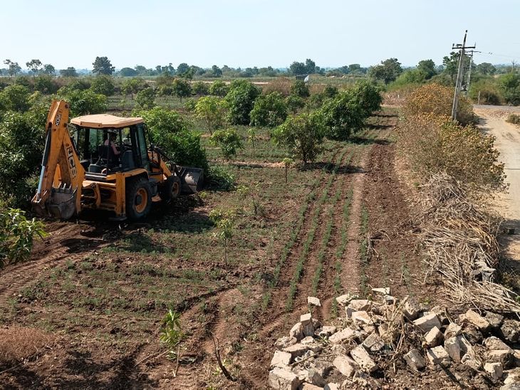 Pasture land opened up in the old Ugla village of Gir Gadhada | ગીર ...