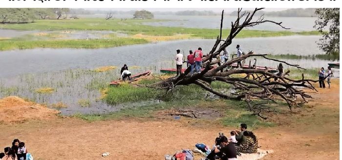 Tourists flock to enjoy the beauty of Thol Bird Sanctuary | સહેલાણીઓ ...