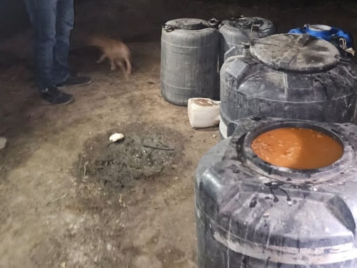 Raid on country liquor factory in Panchotia village, 1200 liters of liquor destroyed | LCBની ...