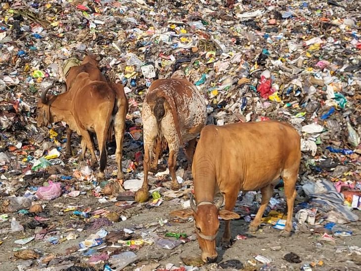 Danger of chemical pollution in Vapi's Damanganga River | વાપીની ...