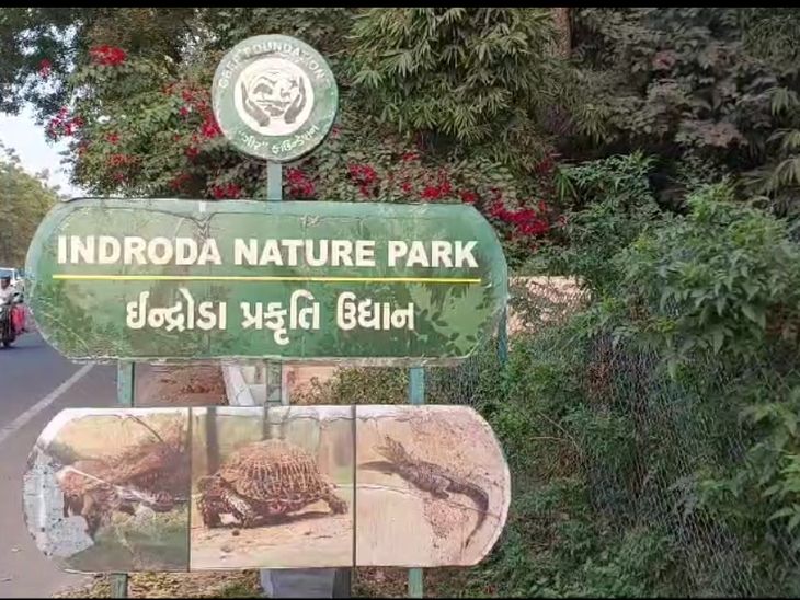 Special arrangements for animals at Indroda Park in Gandhinagar