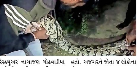 A python entered a residential area in Chhaya Hudko Society at night ...