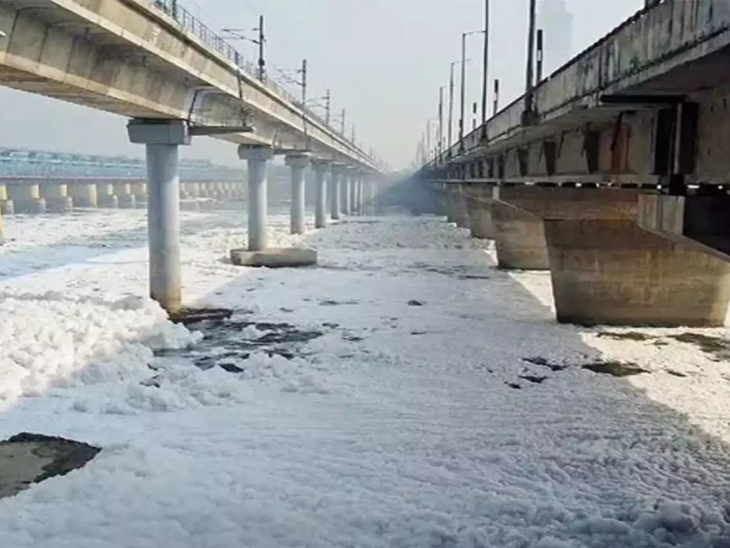 23 sites in Yamuna fail water quality test | યમુનાની 23 સાઈટ્સ વોટર ...
